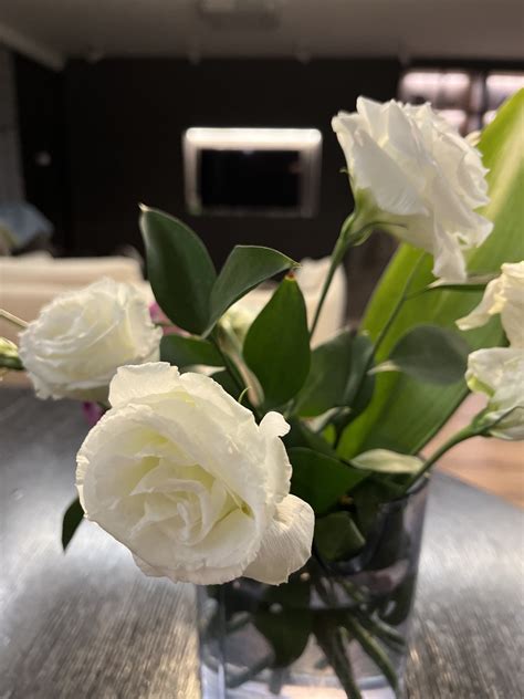 S Bayar On Twitter Охин маань өнөөдөр олон сайхан бэлэг авсны нэг нь энэ гоё цэцэг Төрсөн