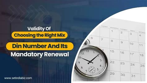 How To Check DIN Validity And Ensure Compliance