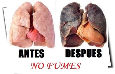 Las Drogas En Los Adolescentes Consecuencias Para La Salud
