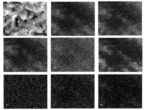 Element Maps Of Phosphate Nodule B1ae Download Scientific Diagram