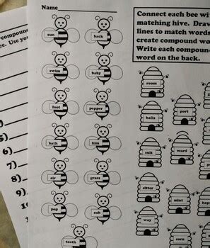 Bee Hive Compound Word Match By First On The Fly TpT