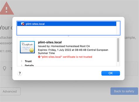 Ssl Certificates For Local Laravel And Vue Development Plint Talk