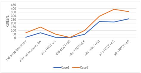 Splenectomy Before Allogeneic Hematopoietic Stem Cell Transplantation
