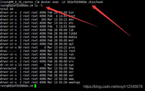进入docker里编辑文件默认里面是不能执行vim命令，所以需要先安装docker默认编辑器 Csdn博客