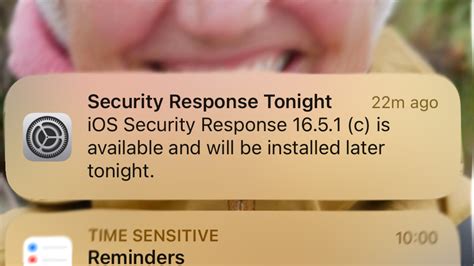 Four Reasons You Should Enable Automatic Software Updates
