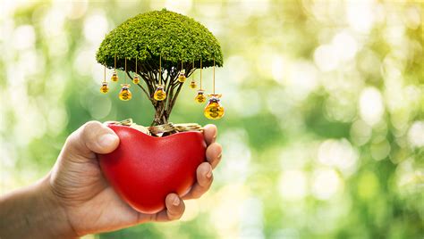 Aha Kicks Off Funding For Womens Heart Health Amid Sex Gaps