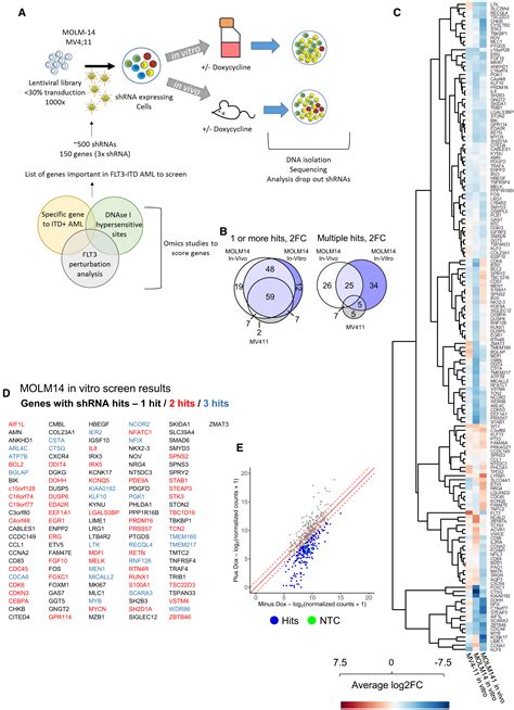 Gene Regulatory Network Analysis Predicts Cooperating Transcription