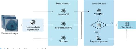 Figure 1 From A Voting Stacking Ensemble Of Inception Networks For Cervical Cytology