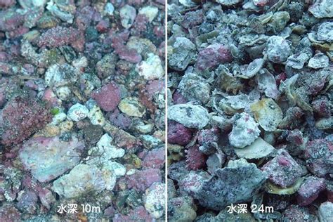 クロイトハゼのマウンド onsenmaru blog