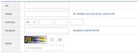운전면허증 진위여부조회 서비스 이용방법 뉴스허브