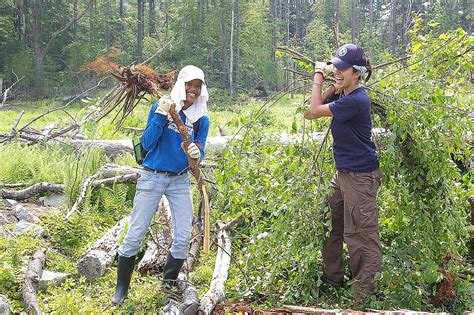 Invasive Plant Removal FWS Gov