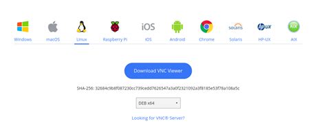 ubuntu19 10使用qemu安装树莓派 qemu 树莓派 csdn博客