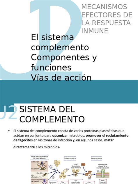U2 3 Sistema Del Complemento Pdf Sistema Complementario Inmunología