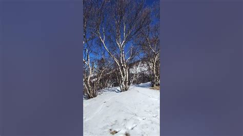 თრიალეთის ქედი ბორჯომის ხეობა Youtube