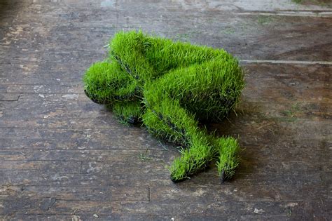 Mathilde Roussel Highlike