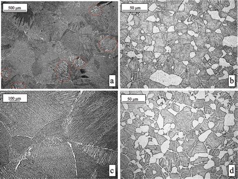 Optical Micrographs Showing The Microstructure Of Ti 834 As A Download Scientific Diagram