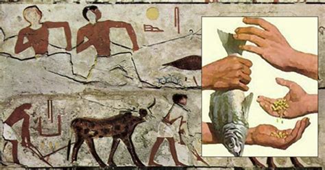 Fast Money The Egyptian Economy Monetary System And Horrendous Taxes