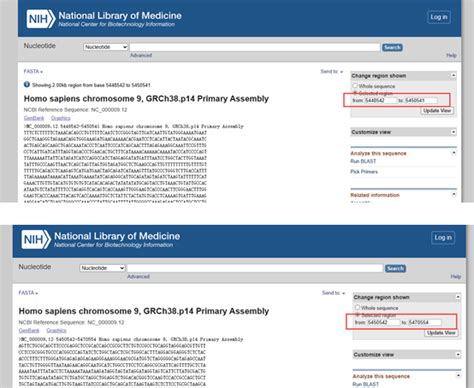 转录因子与靶基因启动子验证预测方法 哔哩哔哩