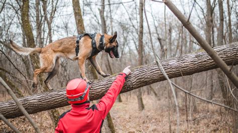 Missing Man Found Alive In Remote Canyon After Nine Day Search 96 3 102 5 Newsradio Wfla