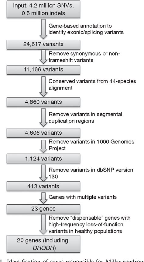 Pdf Annovar Functional Annotation Of Genetic Variants From High