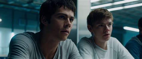Thomas And Newt The Maze Runner Thomas Photo 39630729 Fanpop