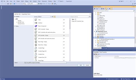 Добавление веб DICOM просмотрщика в Angular ASP NET Core приложение