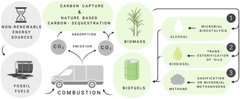 Routes To Decarbonisation Download Scientific Diagram