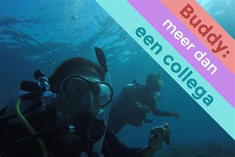 Buddy Op Je Werk Meer Dan Een Collega Geenruzieophetwerk Nl