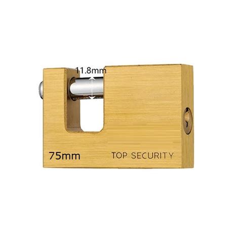 Custom 75mm Brass Solid Body Truck Lock Rectangular Monoblock Ws Rs75