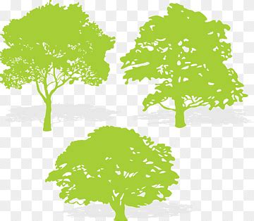 Free Download Tree Silhouettes Png PNGWing