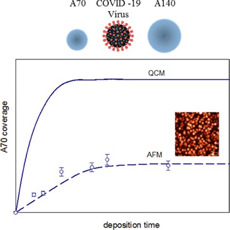 Qcm D在纳米和微粒沉积动力学定量测量中的适用性：理论建模和实验。 Analytical Chemistry X Mol