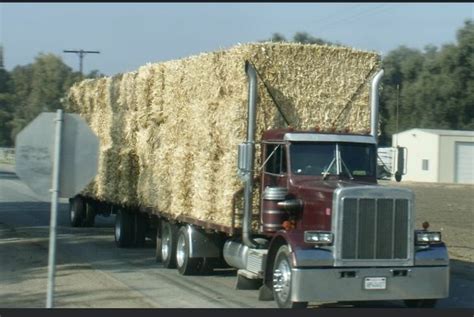130 Hay Wagons Ideas In 2025 Wagons Cool Trucks Big Trucks