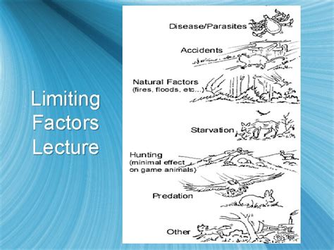 Limiting Factors Lecture What Are Limiting Factors S