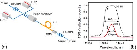 A Ydfl Setup Ld1 And Ld2 Are Laser Diodes Cms Is Cladding Mode Download Scientific Diagram