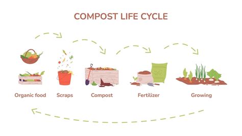 Premium Vector Compost Cycle Farm Garden Composting Process Biology Recycle Organic Food In