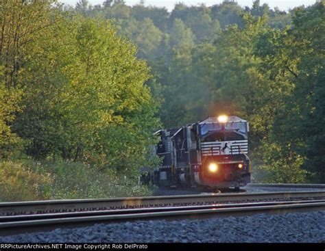 Ns Sd80mac 7206 Leads 10a