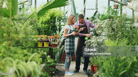 매력적인 커플 온실에서 작동합니다 그에 게 얘기 하는 그녀의 남편 동안 정원 분무기와 식물을 급수 하는 앞치마에서 여자 정원사 원예에 대한 스톡 사진 및 기타 이미지