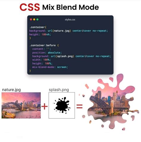 Arafatul Islam Jim On Linkedin Css