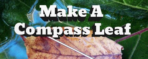 Make A Leaf Compass Wolfmaan
