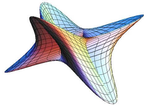 Toroidal Nature