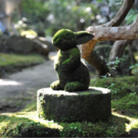 Yang Yong Research Profile