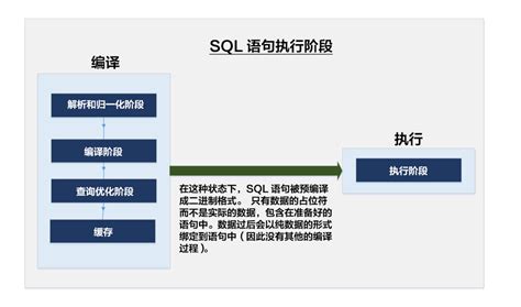 SQL 注入攻击实验 实验手册 LuckyC t To Be A Web Cat