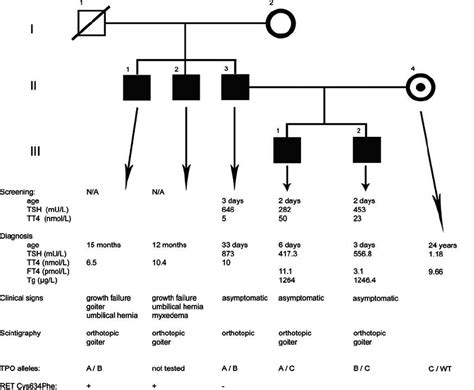 Pseudodominant Inheritance Of Congenital Thyroid Dyshormonogenesis