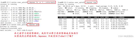 【linux】12 模拟实现shell模拟linux系统shell编程 Csdn博客 【linux】12 模拟实现shell模拟linux系统shell编程 Csdn博客
