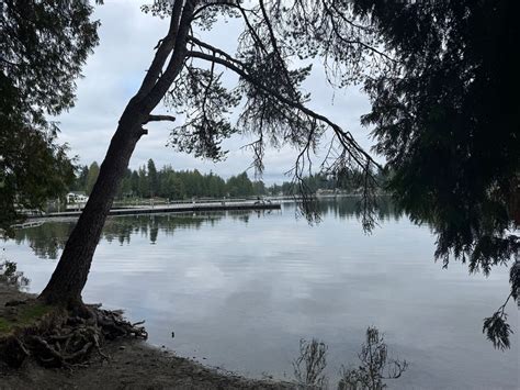 Pine Lake Park At Pine Lake Park Sammamish On 24th October 2025