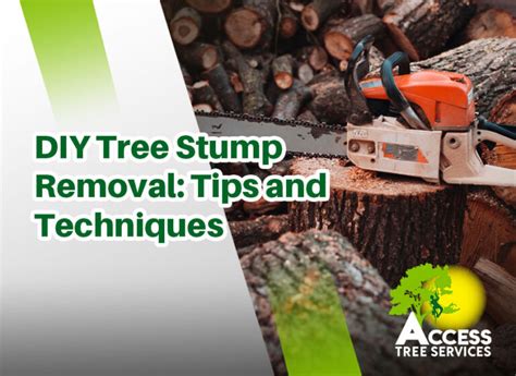 DIY Tree Stump Removal Essential Tips And Techniques