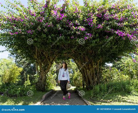 Vrij Mooi Jong Meisje Dat Zich Onder Bloeiende Struiken In Victoria Het