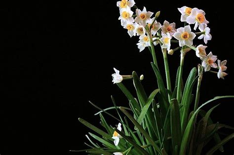 如何解决 远程服务器返回错误”？