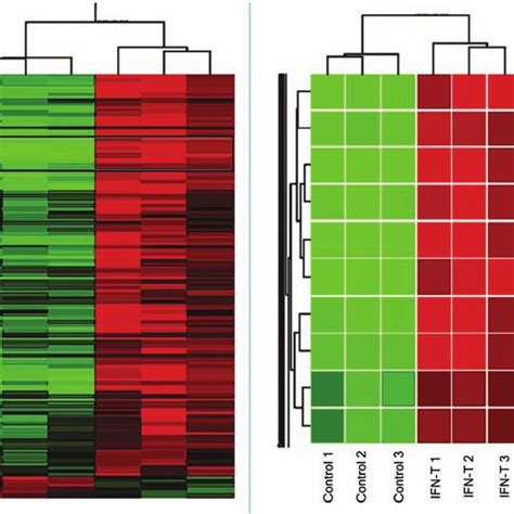 gene expression clustering of 124 isgs isgs rows were subjected to