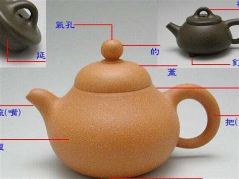 紫砂壶小小壶身 大有讲究